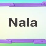 ¿Qué significa 'computables'? Descubre su definición y aplicación en el ...