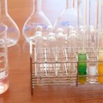 El significado de bomboclaat y su impacto en el lenguaje Jamaicano ...