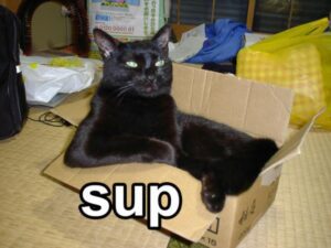 ¿Qué significa 'sup'? Descubre el significado de esta expresión en ...