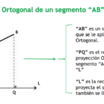 ¿Qué significa sabia y savia? Descubre sus significados y diferencias ...